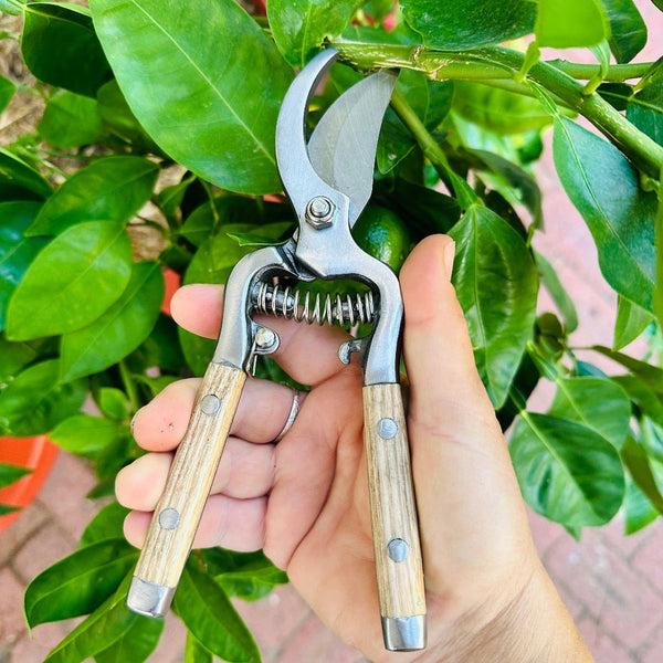 Garden Secateur with Stainless Steel Blades and Wood Handles | Urban ...