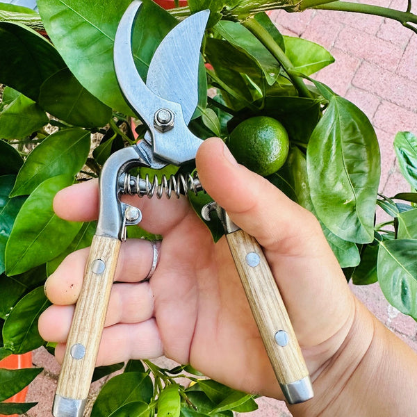 Garden Secateur with Stainless Steel Blades and Wood Handles | Urban ...