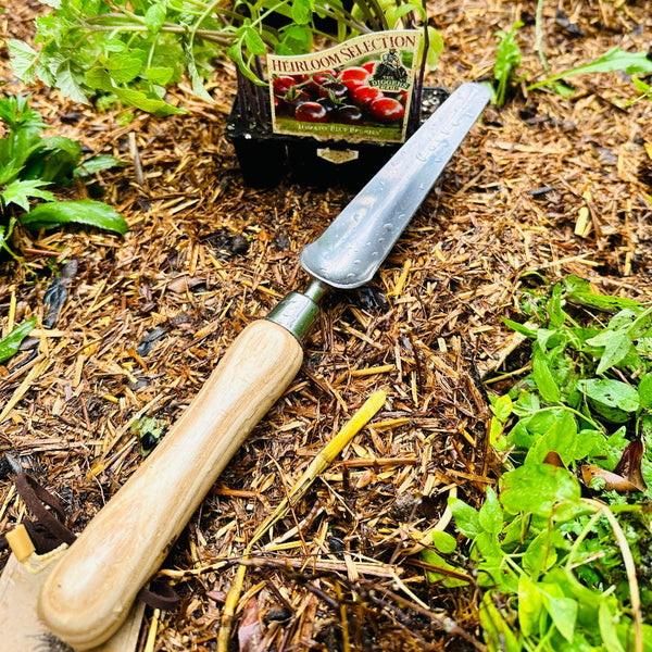 Stainless Steel Widger | Urban Revolution - Urban Revolution Australia