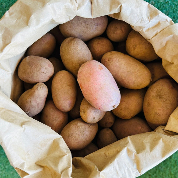 WA Gourmet Seed Potatoes - Blue Moon Potatoes | Urban Revolution Perth ...
