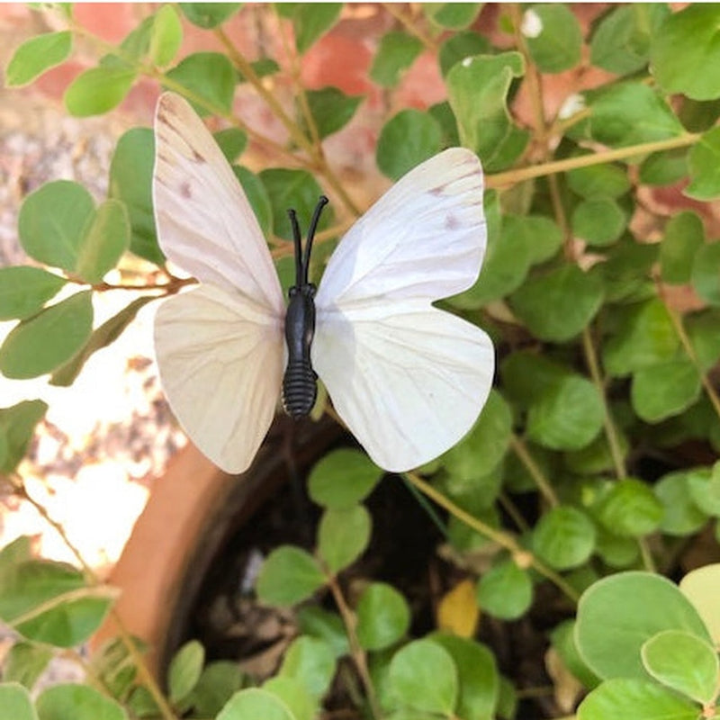 Cabbage White Butterfly or Cabbage Moth Decoys - Urban Revolution Australia