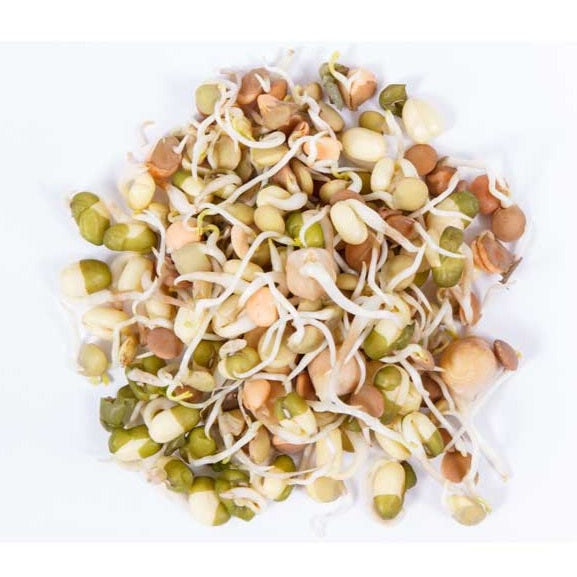 Microgreen/Sprouting Seeds - Protein Mix | Urban Revolution - Urban ...