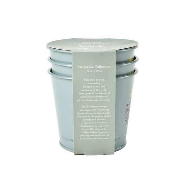RHS Gift Herb Pots Set of 3- Asteraceae - Urban Revolution Australia
