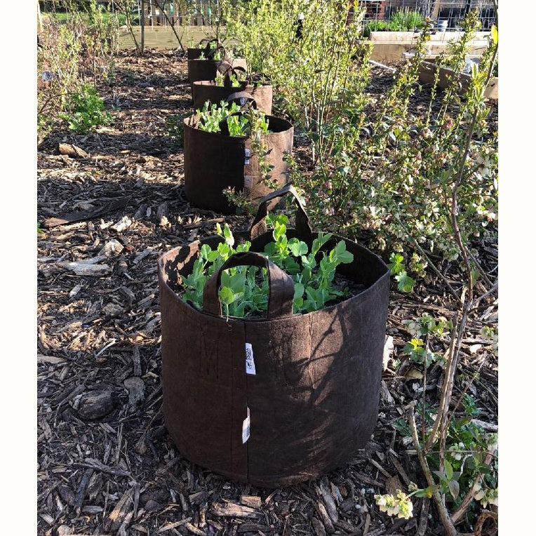 Recycled Plastic Root Pouch Plant Pot - 39L | Urban Revolution - Urban ...