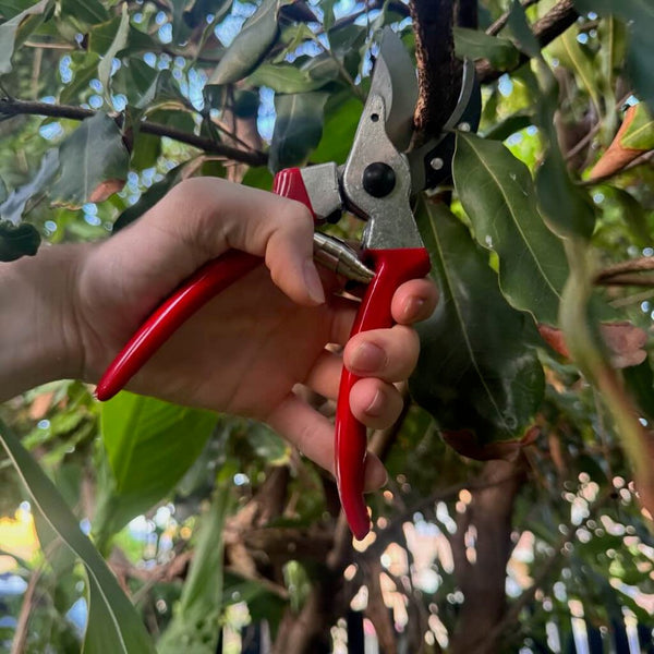Tiller & Rowe Deluxe Bypass Pruning Shears - Urban Revolution Australia