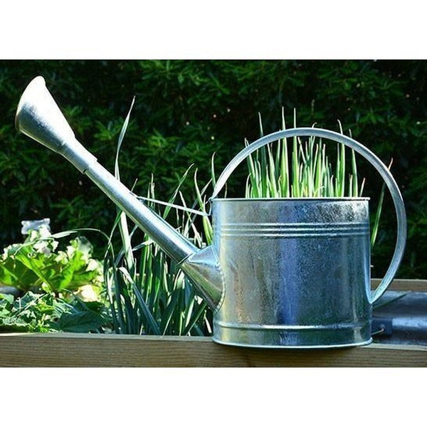 9L Galvanised Waterfall Watering Can | Urban Revolution - Urban ...