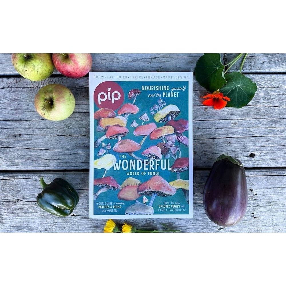 Pip Magazine - Issue 28 | Urban Revolution - Urban Revolution Australia